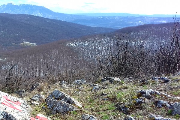 Stara planina i planina Kučaj-Beljanica novi nacionalni parkovi ...