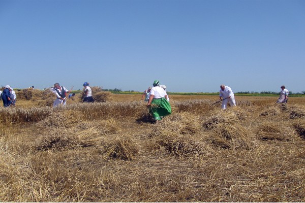 Na 6. Roglju o razvoju turističkih manifestacija | Poljosfera