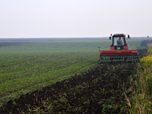 Novembarska setva pšenice - saveti | Poljosfera